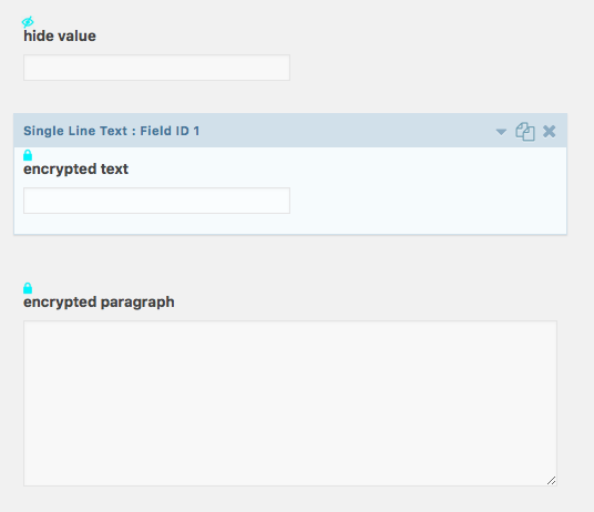 Gravity Forms Encrypted Fields by PluginOwl | CodeCanyon